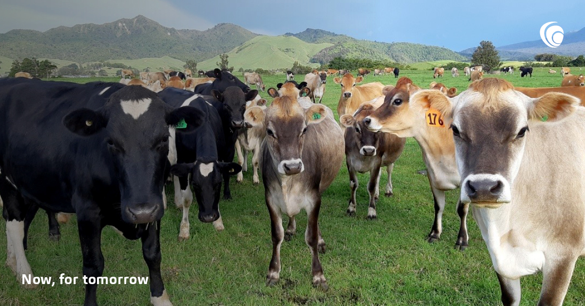 Here’s what to factor in for your on-farm budget | Baker Tilly Staples ...