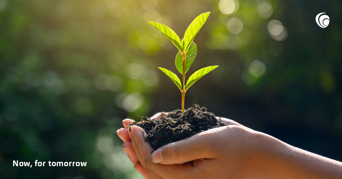 Business strategies to survive lean times | Baker Tilly Staples Rodway