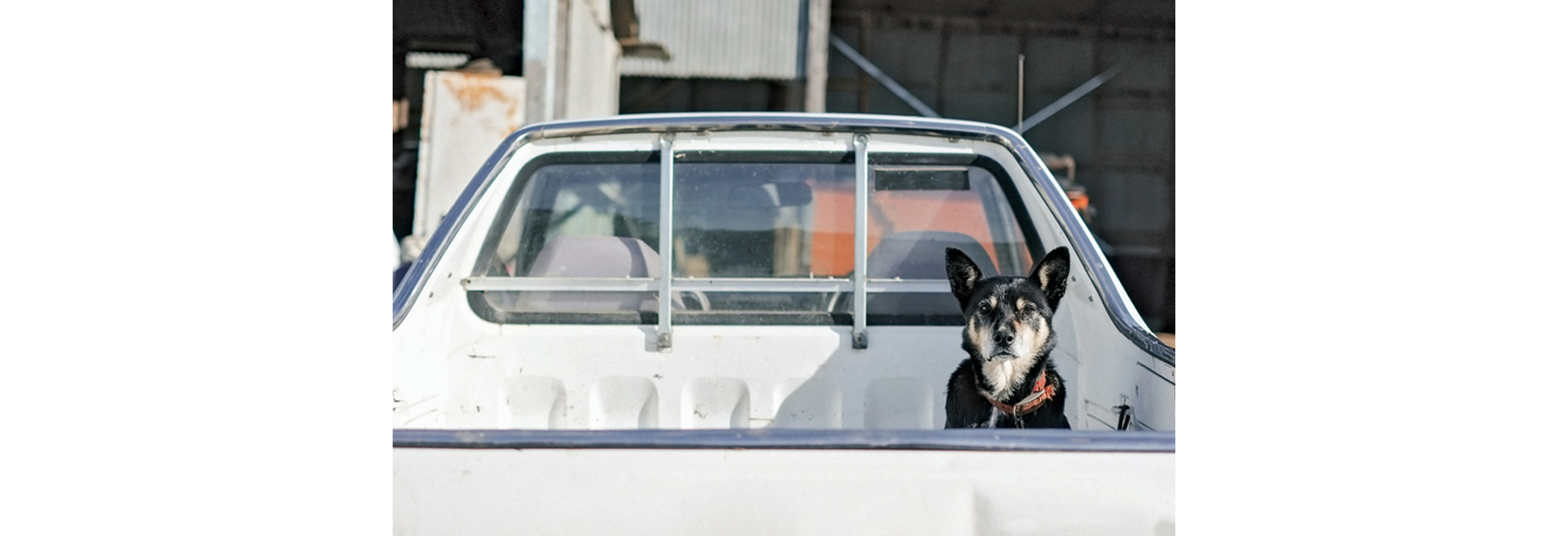 Managing People on the Farm | Baker Tilly Staples Rodway